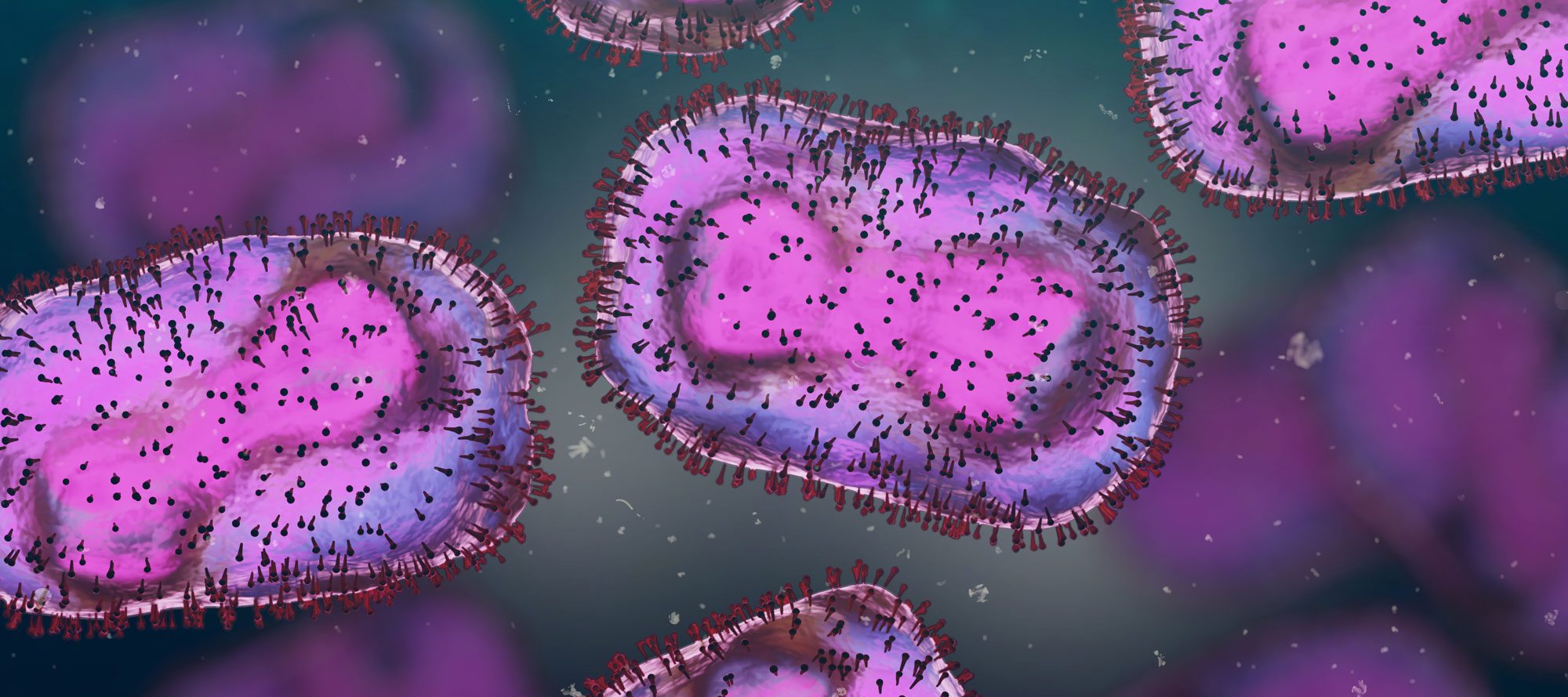 August 27, 2022 | Parasites without Borders