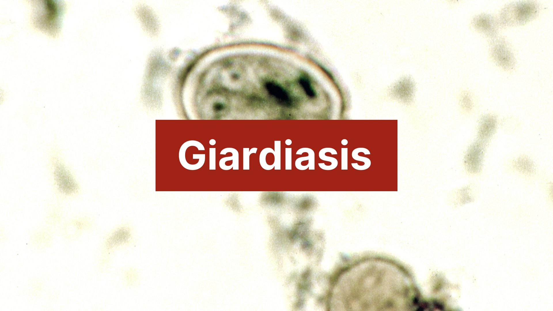 All Courses | Parasites without Borders